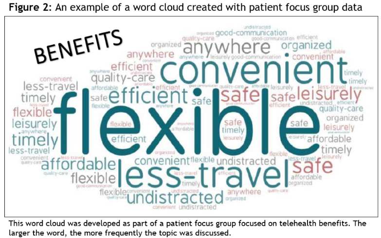 Informing healthcare quality through patient focus groups - MITE MMC ...